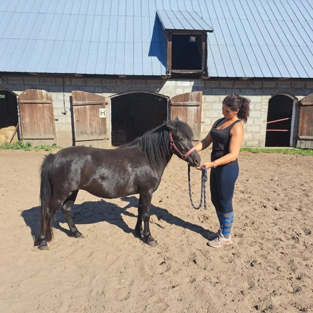 Stajnia Karino - Odkryj Magię Jazdy Konnej w naszej stajni.